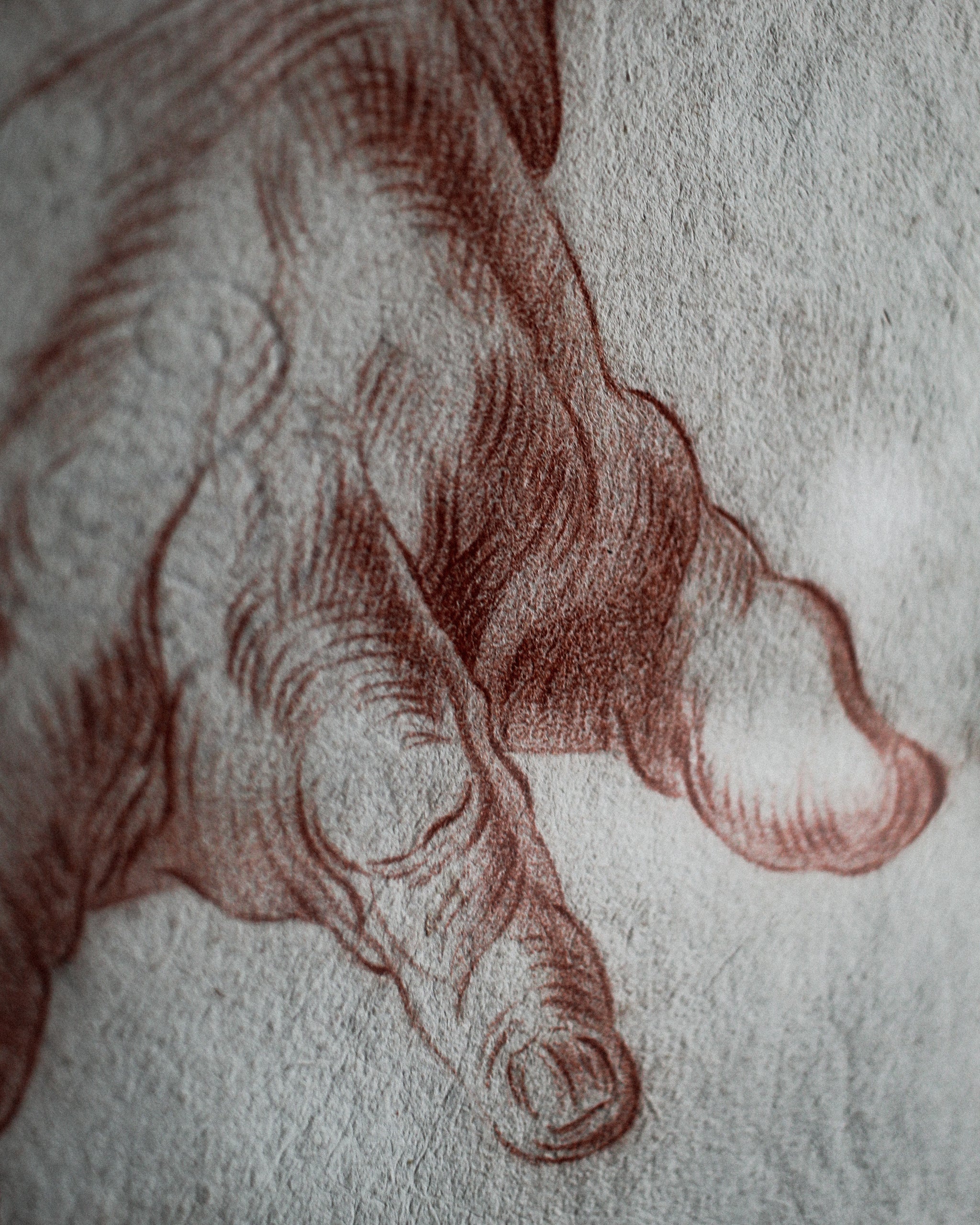 Sanguine Study of Hand on Laid Paper, Dated 1799 – gallery elder